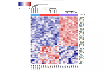 Rで解析：簡単なheatmapの作成! 「heatmap3」パッケージ